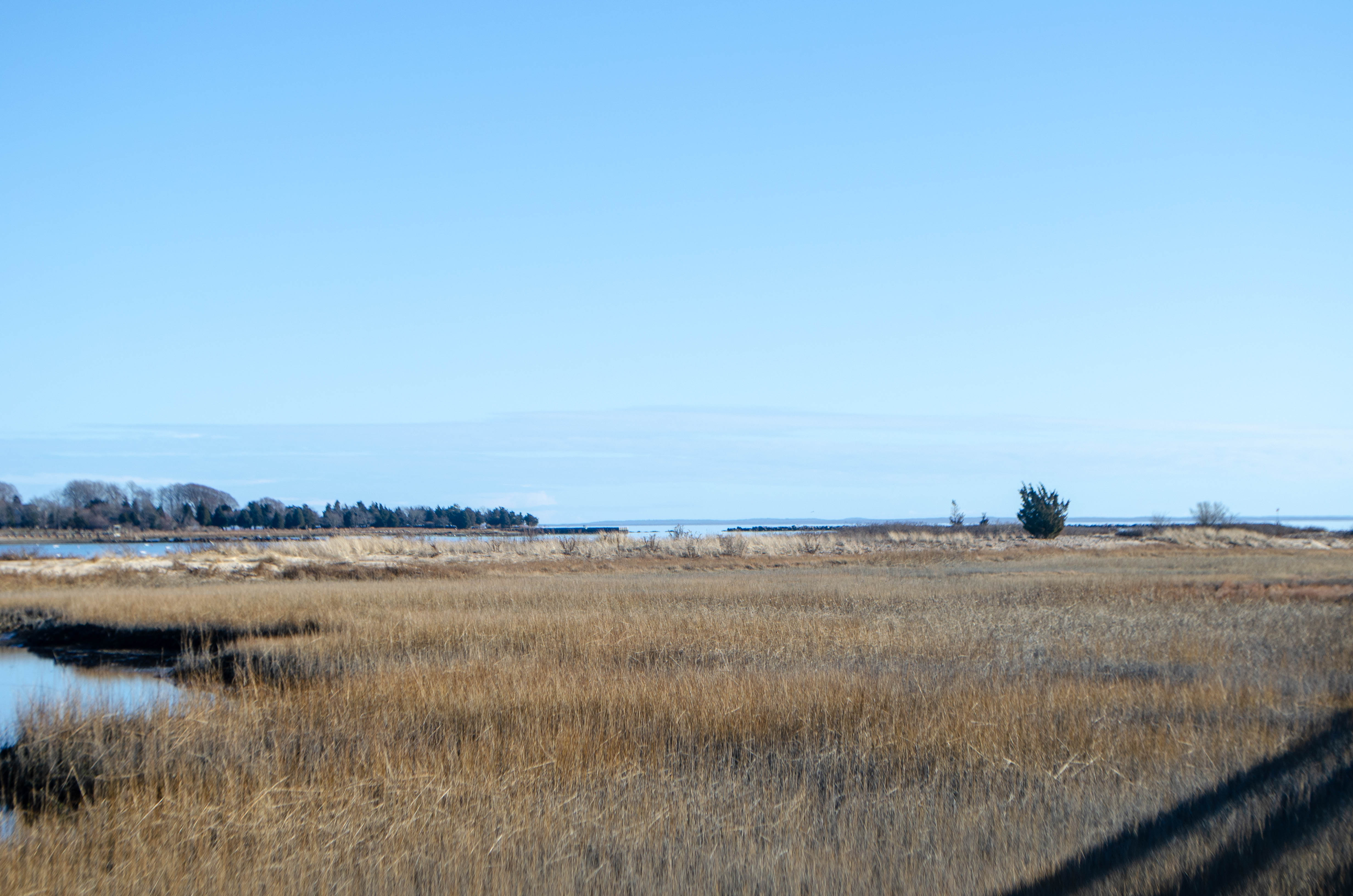 The Marsh Project – michaelwatsonarts